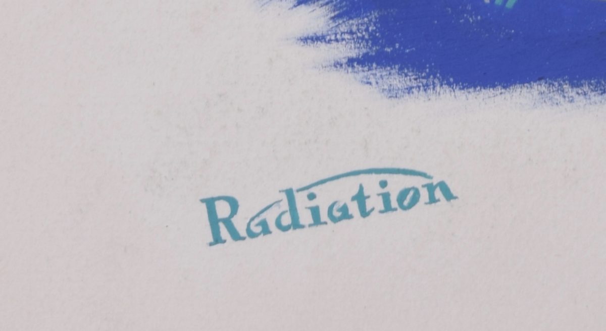 Continental Cookery Radiation cooker brochure design by Brownbridge